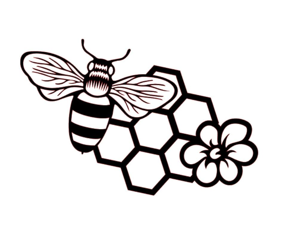 Amazon.com: Custom Bee Honeycomb Vinyl Decal - Honey Bee Bumper Sticker ...
