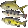 Amazon.com: Ailejia 3pcs Simulated Animal Fake Fish Model for Home ...