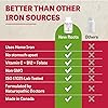 New Roots | Heme Iron Supplement with Vitamin C & B12 | Designed by ...