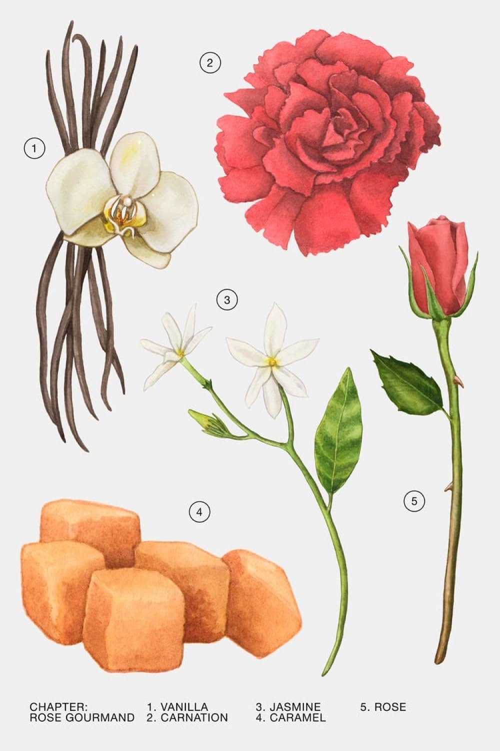 Mua Rose Gourmand Perfume for Women EDP Eau De Parfum 80 ML (2.71 FL ...