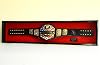 WWE WWF Wrestling Championship Adult Size Belt Display CASE Frame ...
