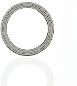 Amazon.com: Polaris, New OEM, Exhaust Pipe Gasket, 0455371, 18291-111 ...