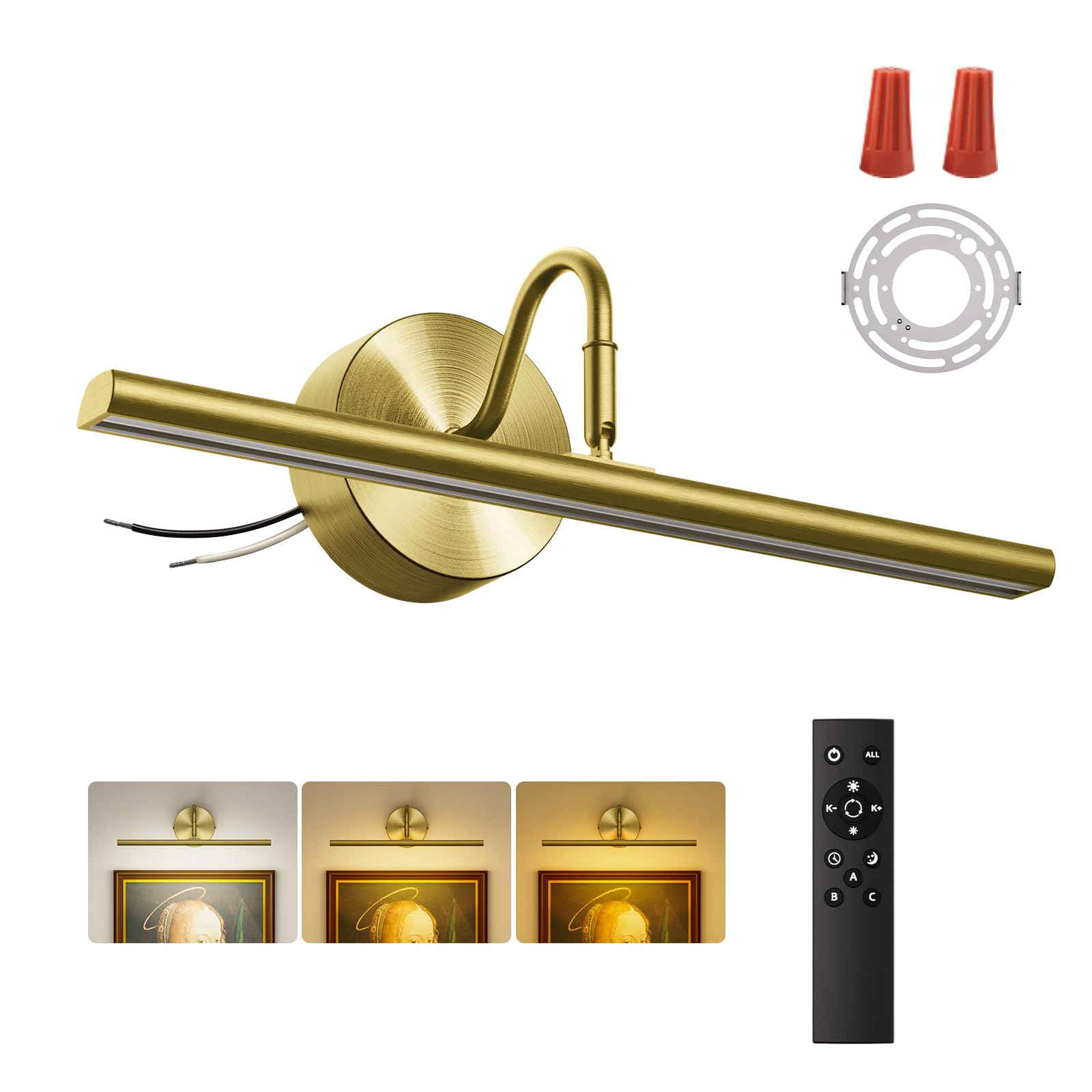 Denlead Picture Lights for Wall Hard-Wired 16.5" LED Wall Light with ...