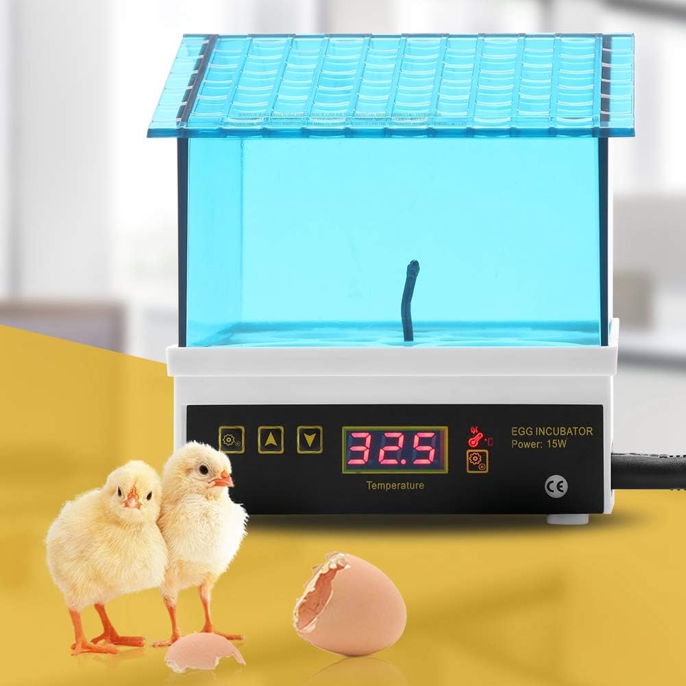 Egg Incubator, Mini Digital Egg Hatcher Poultry Hatcher Clear ...