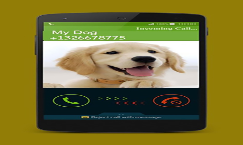 Funny Fake Call From Dog ( Gag Pet Calling Prank ) Dogs Prank Call ...