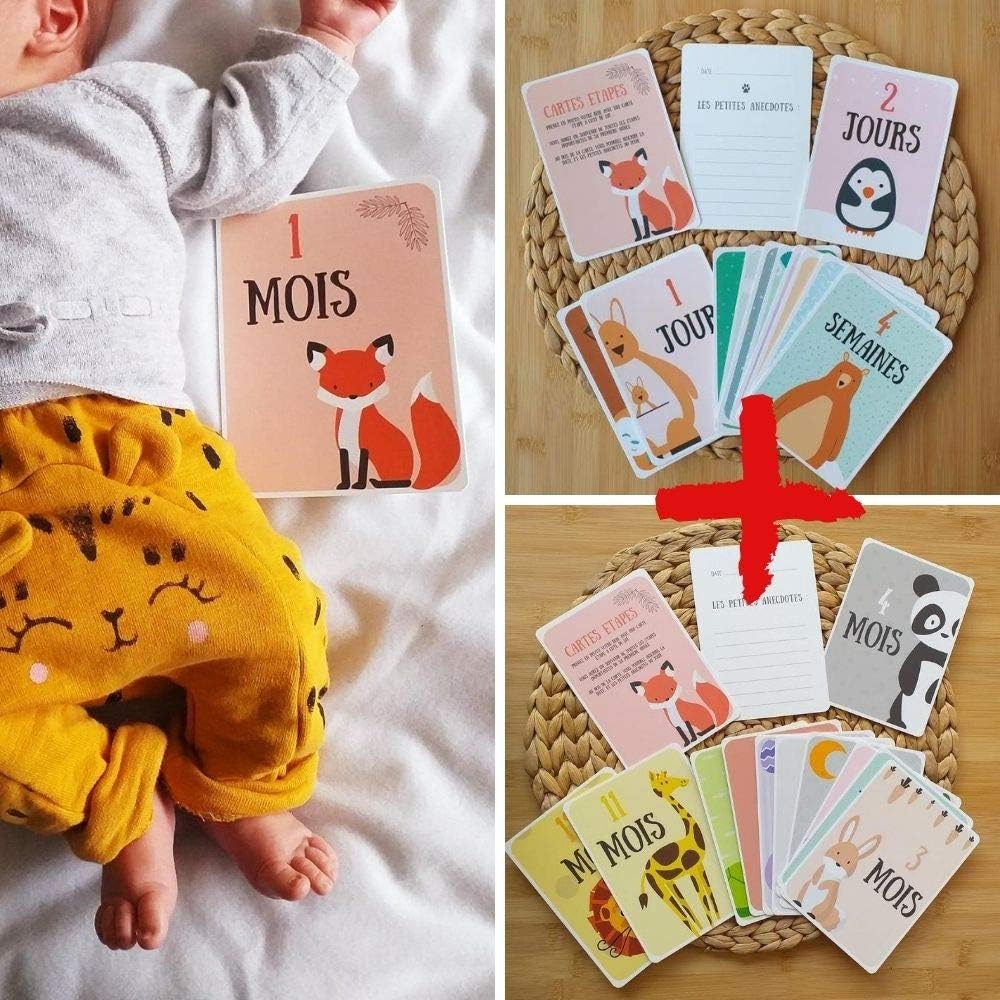 Set of 24 Baby Steps Cards – His First Days + Her First Year – Animal ...