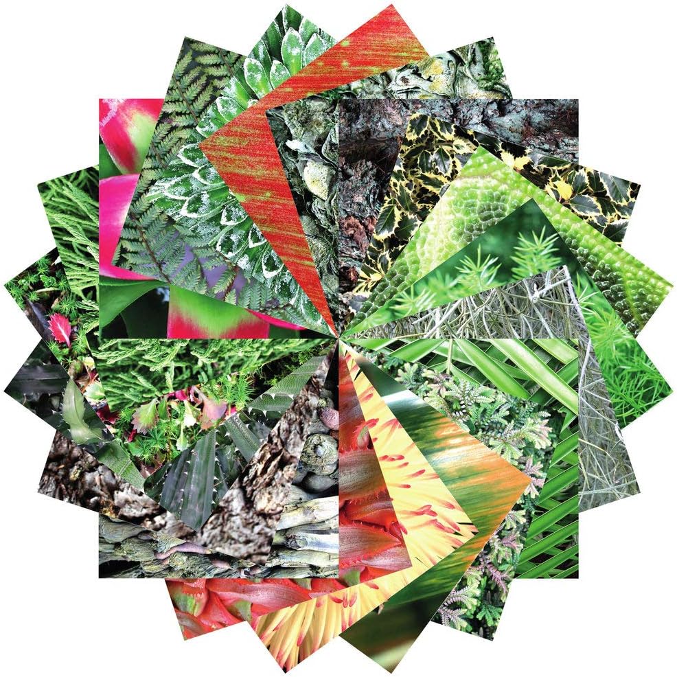 Origami Paper Gift Set | 200 Sheets, 15cm Square | Flower Patterns ...