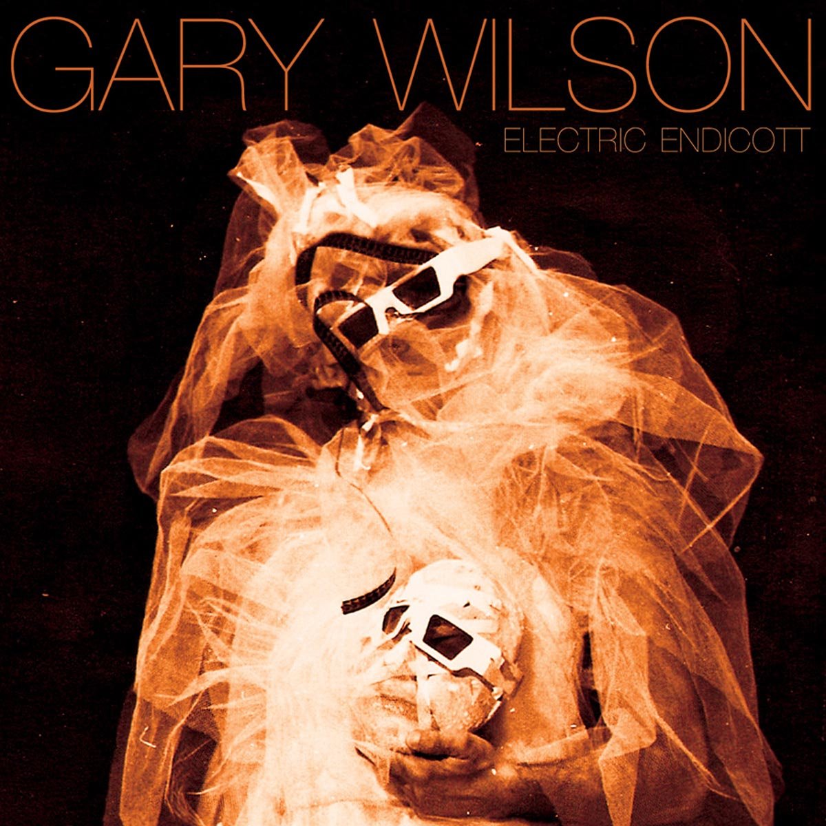 Gary Wilson, Gary Wilson - Electric Endicott - Amazon.com Music