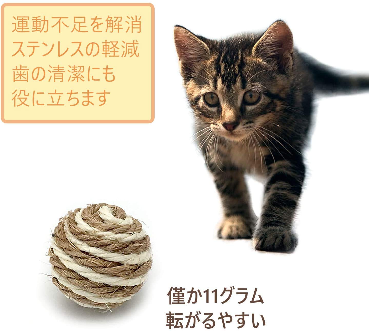 Mua cat trên Amazon Nhật chính hãng 2024 | Fado