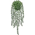 Amazon.com: LOYWREE Fake Plants Indoor Artificial String of Pearls ...