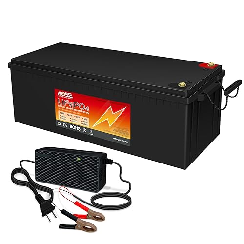 48V Lithium Battery, Lifepo4 Battery 100Ah, Lightweight Small Upgraded ...