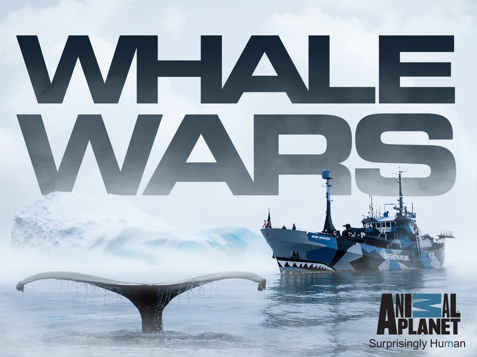 Watch Whale Wars Season 6 | Prime Video