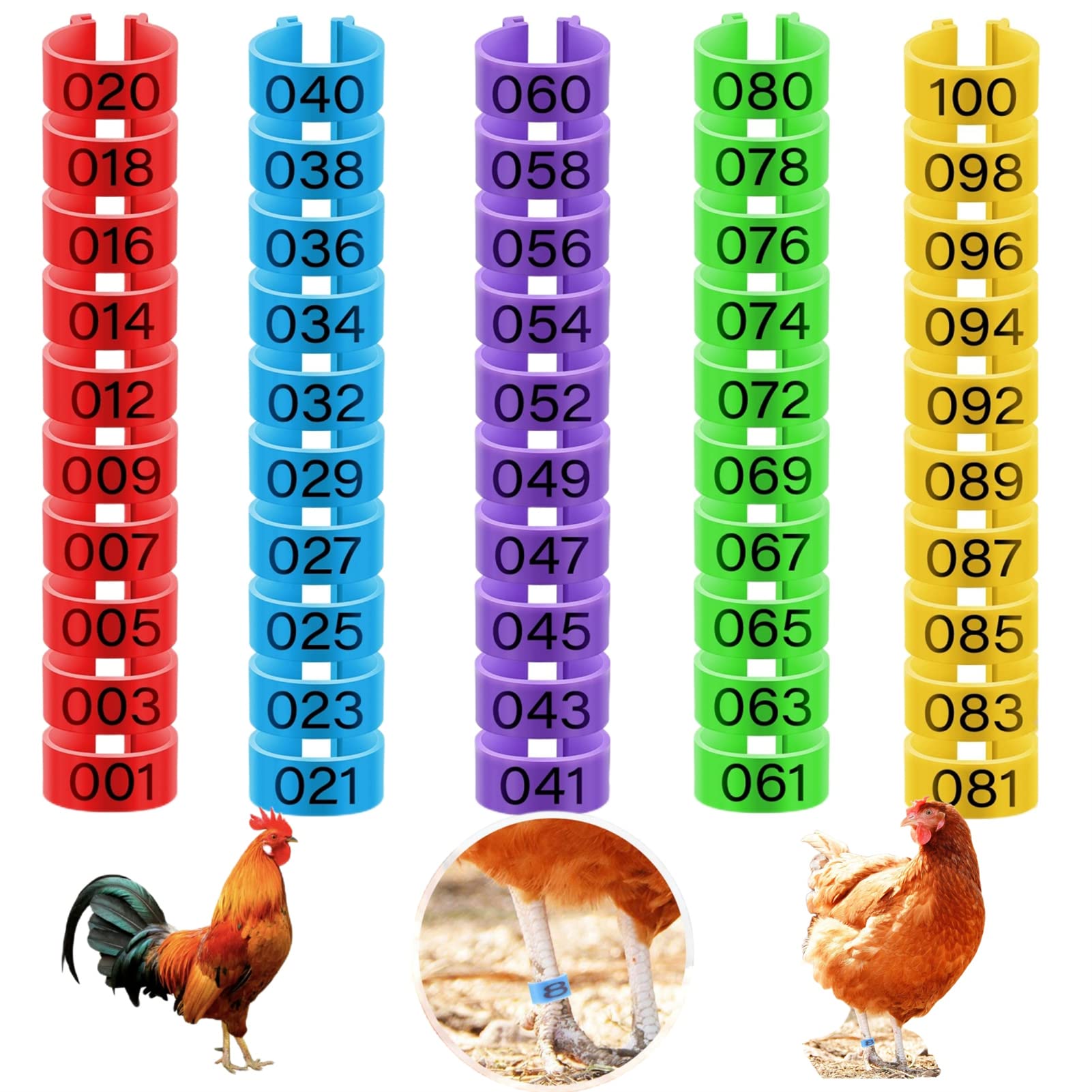 Mua George Garden 100 Pieces Chicken Leg Rings with 5 Colors Numbered ...