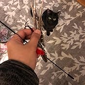 Da Bird Go Cat Feather Super Refill Cat Toys, Assorted Colors: Amazon ...