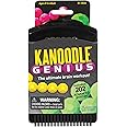 Amazon.com: Educational Insights Kanoodle Genius 3-D Puzzle Brain ...