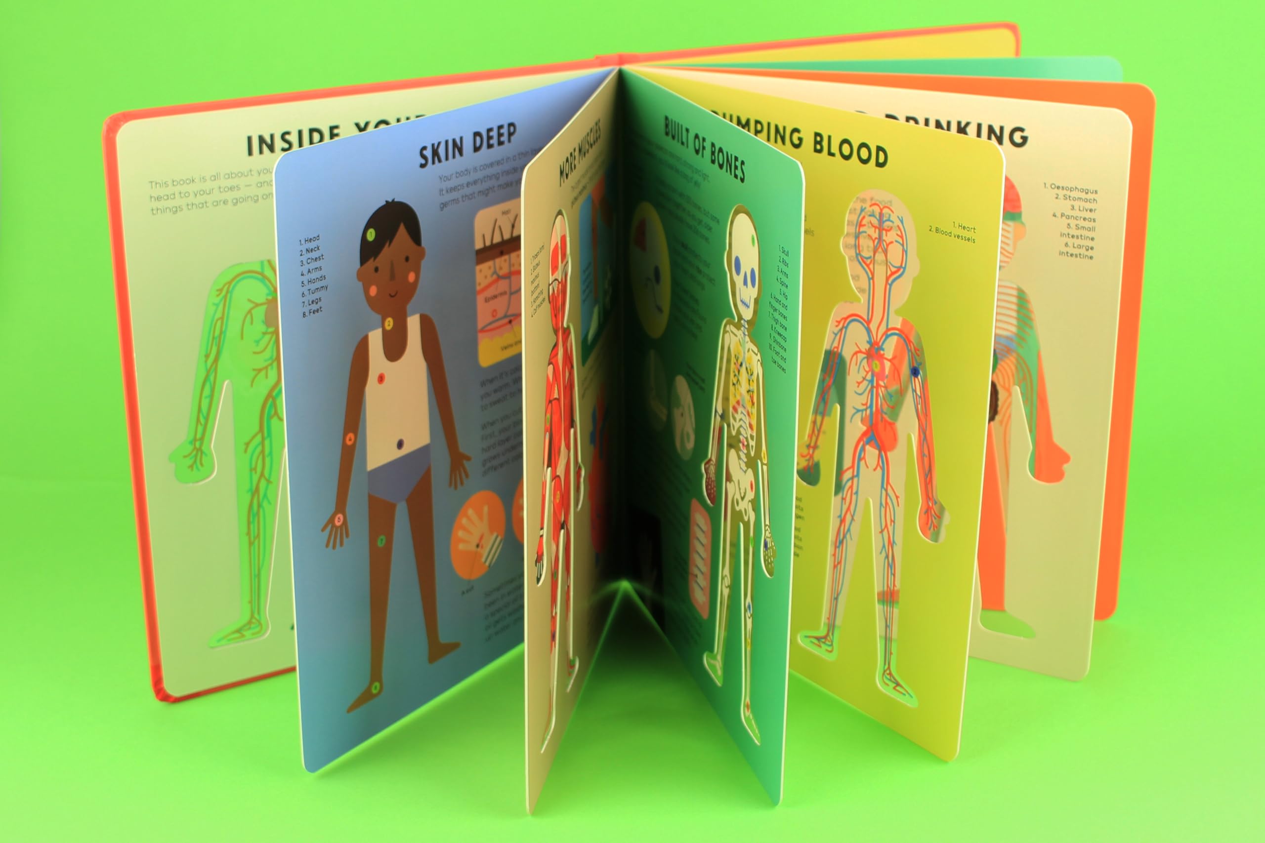 Mua The Body Book: Look inside the human body with amazing SEE-THROUGH ...