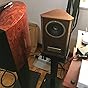 Amazon.co.jp: Tannoy（タンノイ）Prestige Autograph Mini GR オートグラフ ミニ 【ペア ...