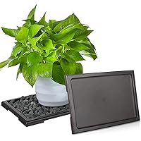 Amazon.com: 2 Pack Bonsai Humidity Tray 9 Inch Drip Tray Rectangular ...