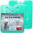 Amazon.com: Large Ice Packs For Coolers and Ice Chest by Portion ...