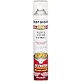 Rust-Oleum 353345 Stops Rust Turbo Spray System Spray Paint, 24 oz ...