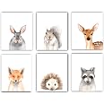 Designs by Maria Inc. Set of 6 UNFRAMED Animal Posters | Watercolor ...