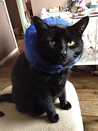 Buster Inflatable Collar, M: Amazon.co.uk: Pet Supplies