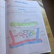 The Nurse's Anatomy and Physiology Colouring Book: Amazon.co.uk ...