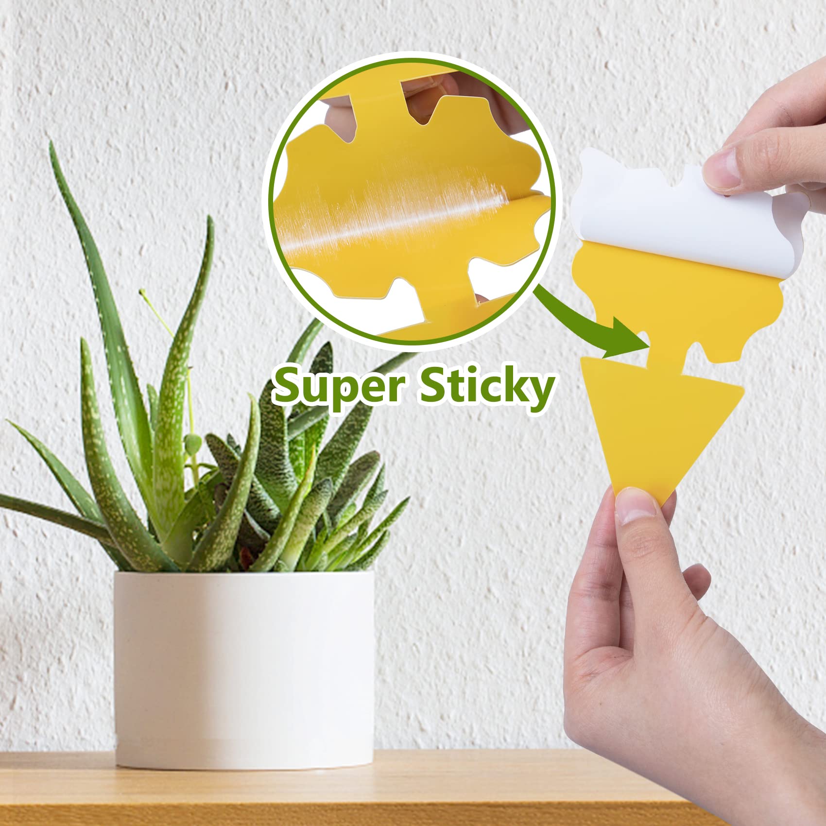 Mua 40 Pack Fungus Gnat Traps for House Indoor Yellow Sticky Traps for ...