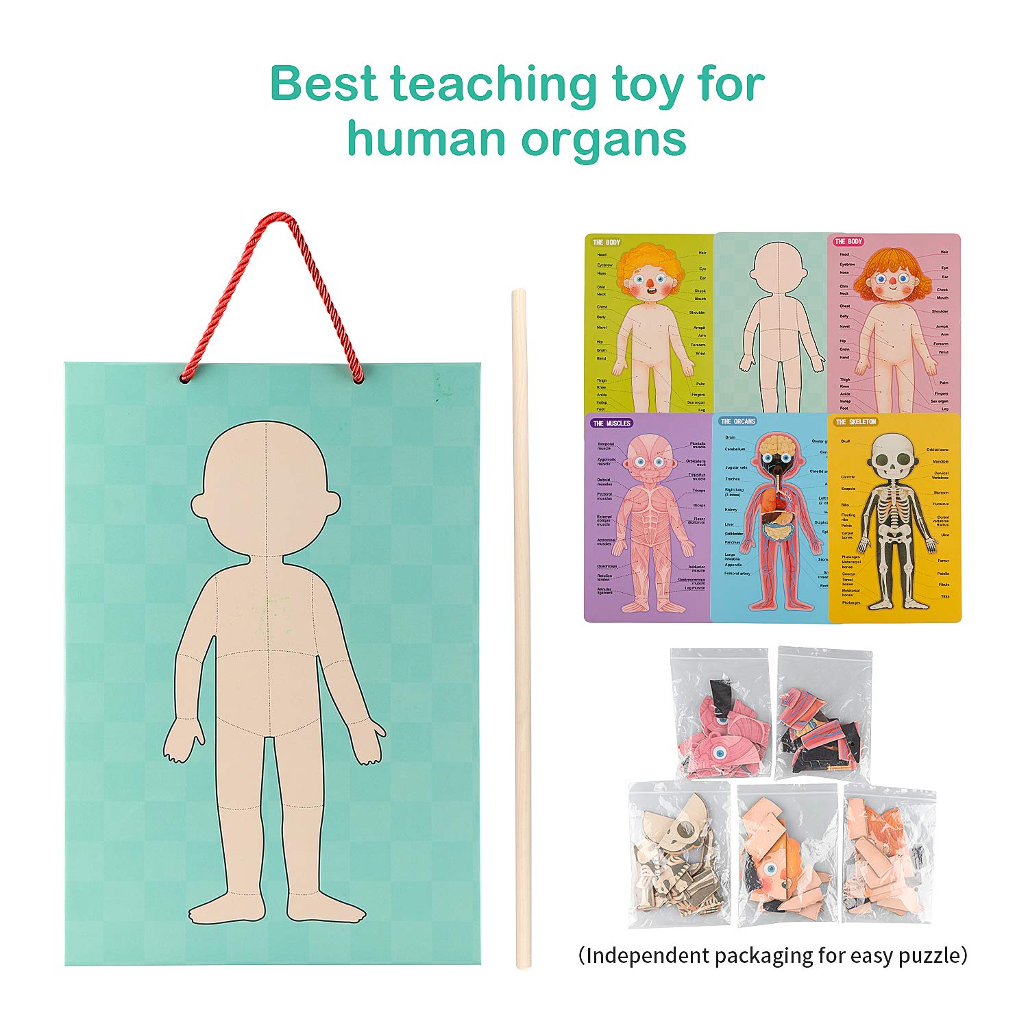 Mua Wondertoys Wooden Body Puzzle for Kids -90 Pcs skeleton puzzle body ...