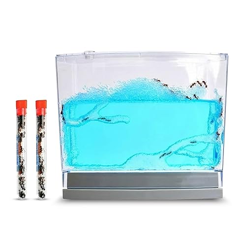 Ant Habitat Kit with 50 Live Ants Shipped Now - Informational Ant ...