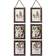 Amazon.com - Lavezee Wall Hanging 5x7 Picture Frames Set of 2, Vertical Collage Distressed Brown ...
