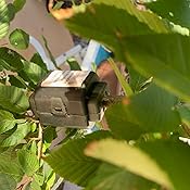 Amazon.com : Root Pods Starter Kit (Grey) : Garden & Outdoor