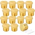Amazon.com: TAISHER 15PCS Brass Outer Hex Thread Socket Pipe Plug Fitting 1/4" NPT Male ...