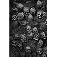 Amazon.com: Skulls Stacked in Wall Skeleton Spooky Horror Photo ...