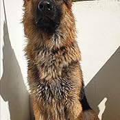 Buy Captain Zack - The German Shepherd Groom Box – Ultimate 8-in-1 ...