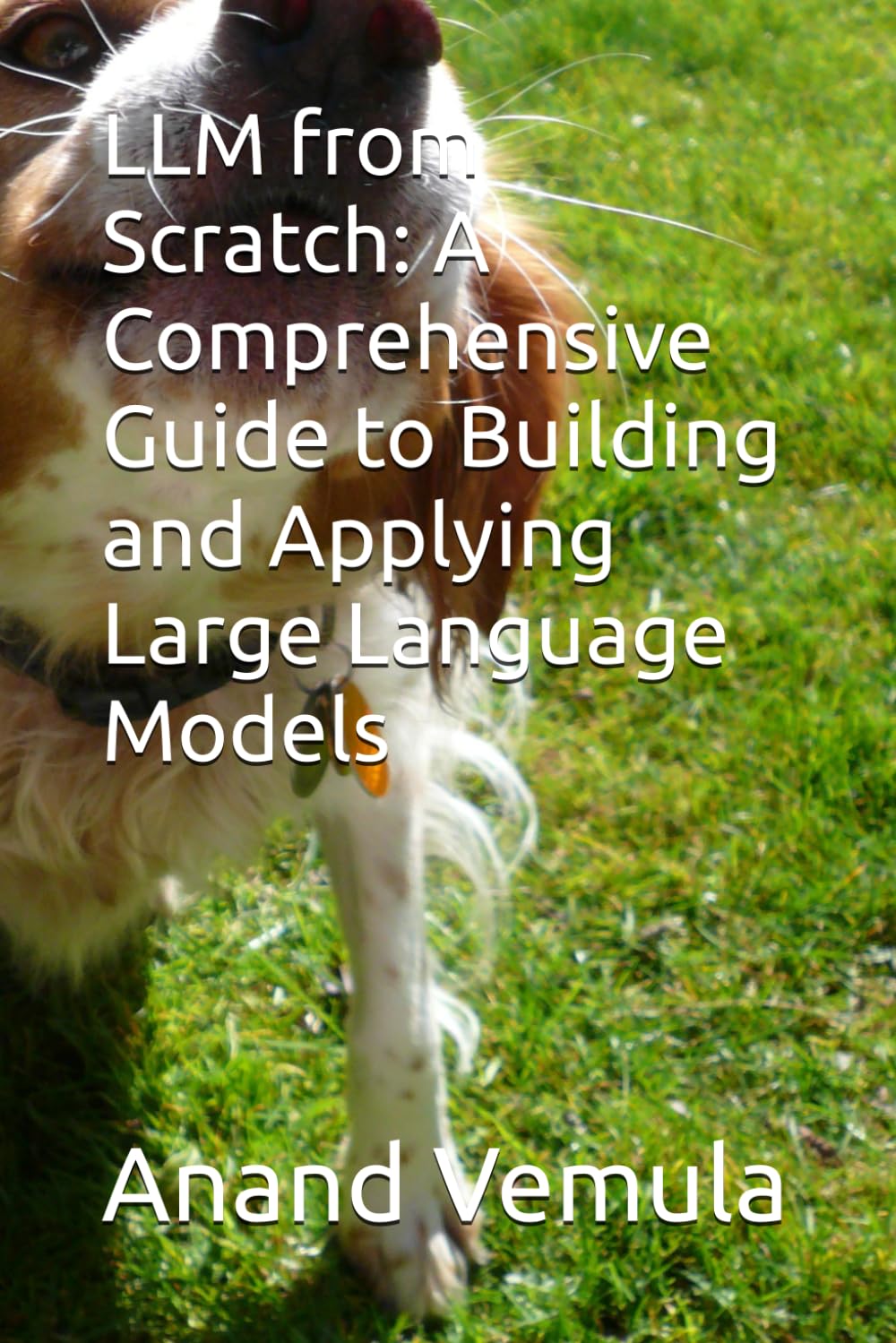 Mua LLM from Scratch: A Comprehensive Guide to Building and Applying ...