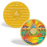 Amazon.com: 12 Steps AA Coin Sobriety Chip Medallion, Clockwork One Day ...