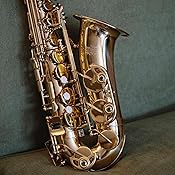 Jean Paul USA AS-400 Student Alto Saxophone: Amazon.ca: Musical ...