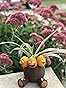 Amazon.com: ONESHOT3D Exeggutor Planter Flower Pot - Gift Idea Gamers ...