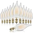 Hizashi LED Frosted Candelabra Light Bulbs, E12 LED Bulb 40W Equivalent, Dimmable 2700K Warm ...