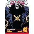 Amazon.com: Bleach, Vol. 43: 9781421542966: Tite Kubo, Tite Kubo: Books
