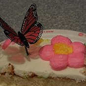 Amazon.com : DecoPac Butterflies DecoPic Cupcake Picks (12 Count ...