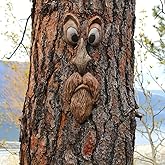 Amazon.com: coonoe Tree Face Decor Outdoor, Cute Tree Faces Colorful ...