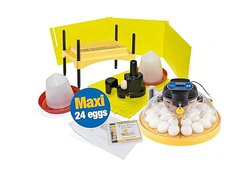 Brinsea Maxi 24 Advance Egg Incubator Classroom Kit Brooder Pack for ...
