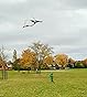 In The Breeze 46-Inch Rainbow Sparkler Fly Hi Delta Kite : Amazon.ca ...