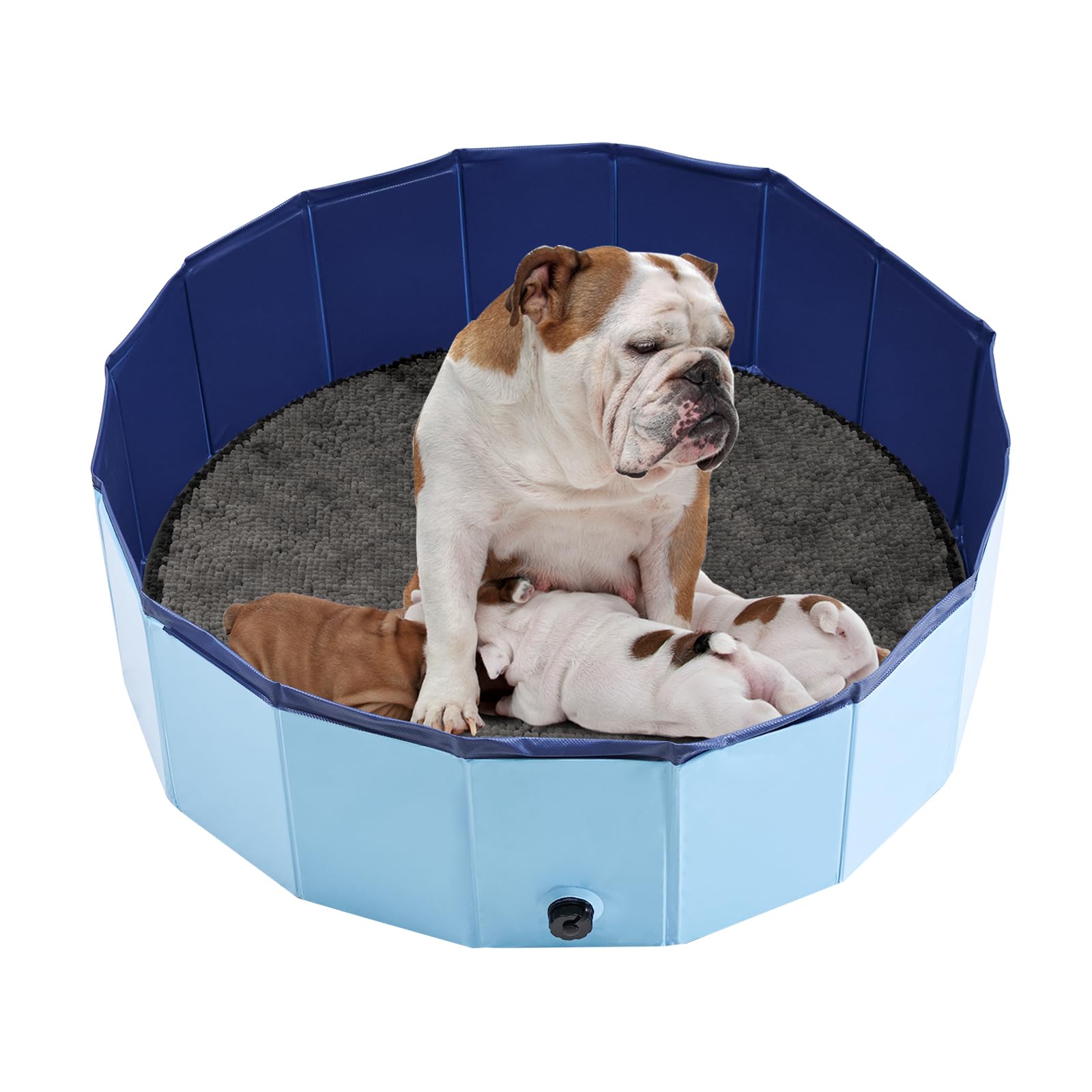 Potlimepan Portable Birthing Pool Dogs,Dog Whelping Pen,Whelping Box ...