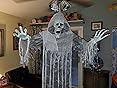 Amazon.com: Morris Costumes Hanging Phantom 72 In Animated : Movies & TV