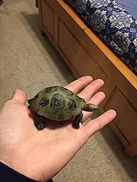 Amazon.com: Schleich Giant Turtle: Toys & Games