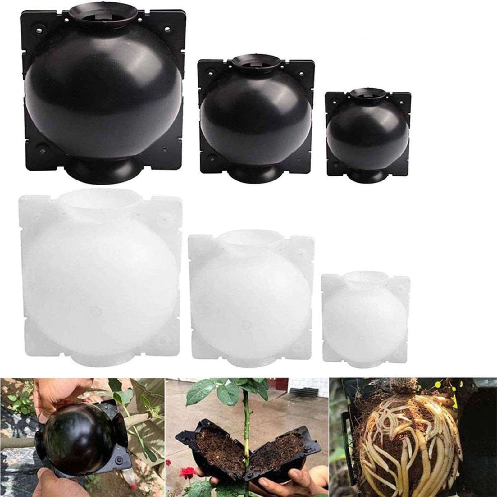 Buy Garden Rooting Growing Botany Device Rooting Device High Pressure ...