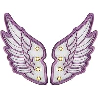 Amazon.com: Shoe Wings Accessory Shoe Wings Angel Shoe Decorations for ...